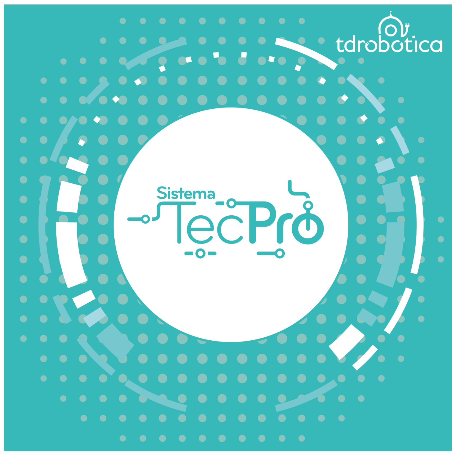 TecPro Nivel Inicial - tdrobotica